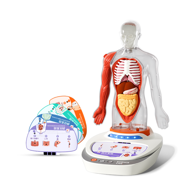 My Body Voice Pedia – Interactive STEM Anatomy Toy for Kids